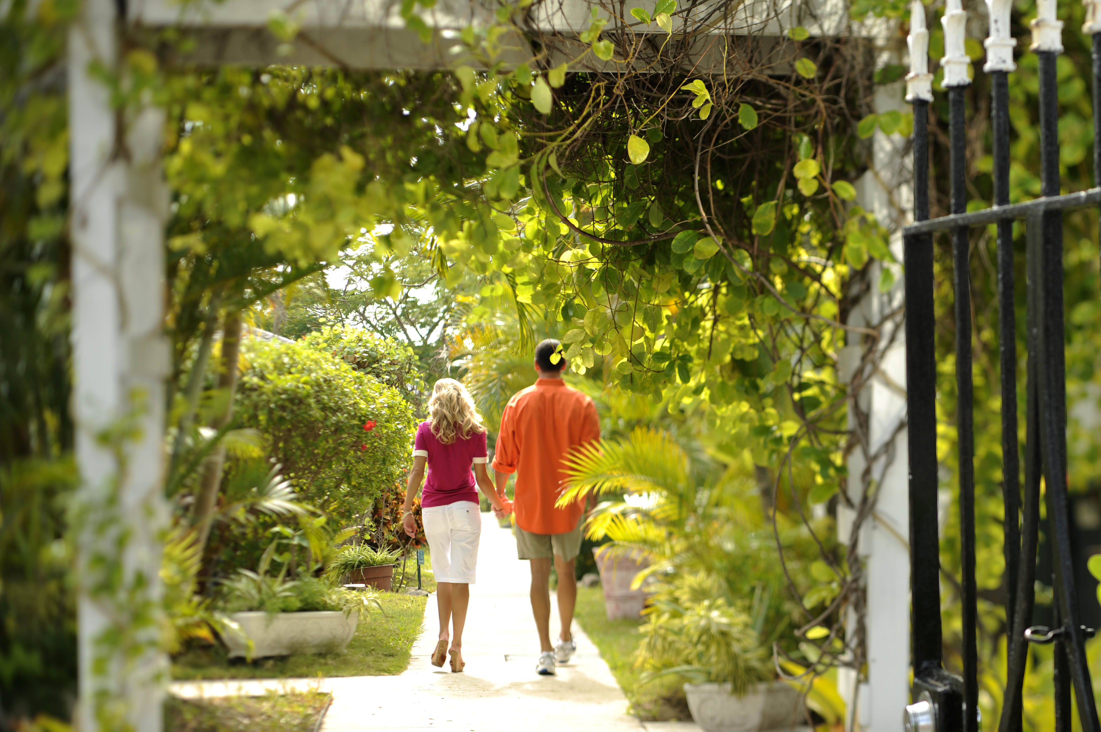 Gallery - Bay View Suites